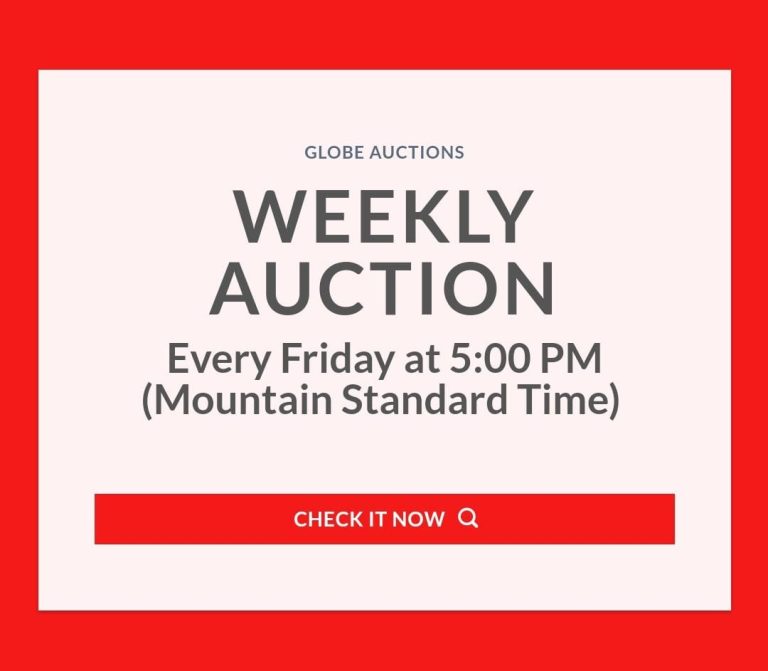 Globe Auctions – Globe Auctions